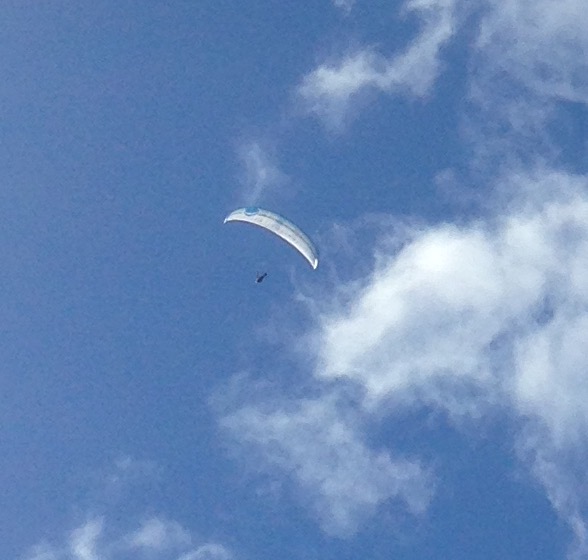 Let it go - Sydney Zen Centre