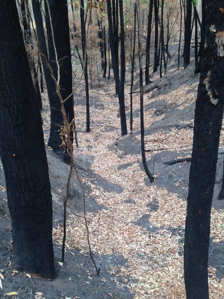 The Fall into Hell - Sydney Zen Centre